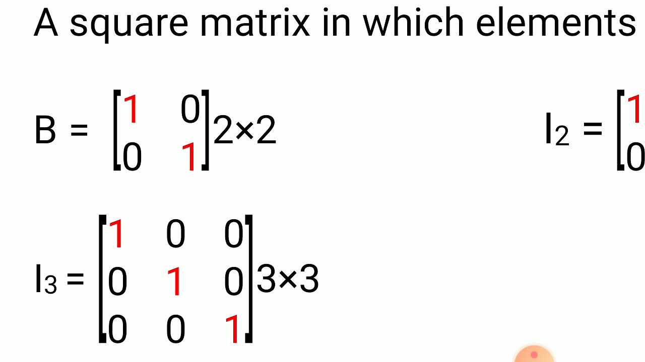 X std - Maths - unit 3 - matrix types of matrices - YouTube