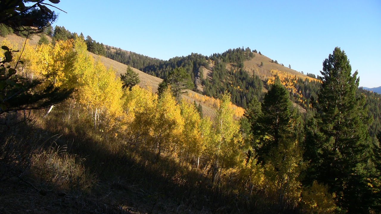 Little Elk Mountain & Skyline Road - Caribou National Forest (Bull ...
