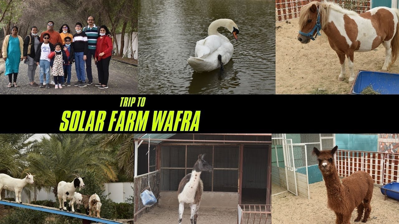 Solar Farm Wafra - YouTube