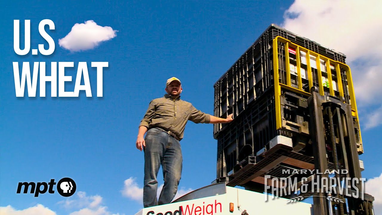 Inside a Sixth-Gen Farmer's Seed Warehouse | Maryland Farm & Harvest ...