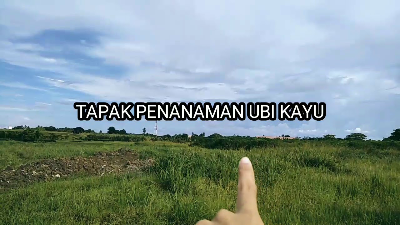 Simple Machine: Tapioca Harvester - Fakulti Pertanian Lestari, UMS ...
