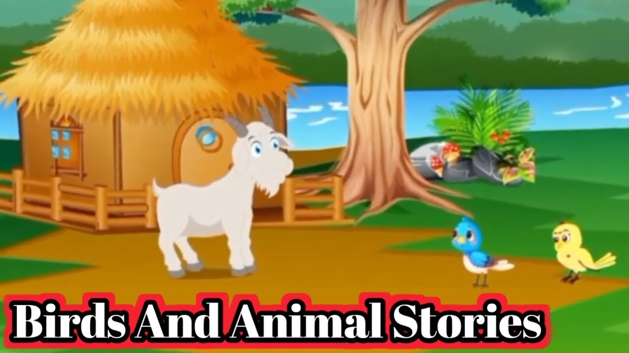 Birds Stories Animal Stories Moral Stories - YouTube
