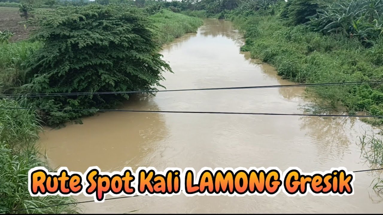 RUTE SPOT MANCING KALI LAMONG GRESIK JAWA TIMUR - YouTube