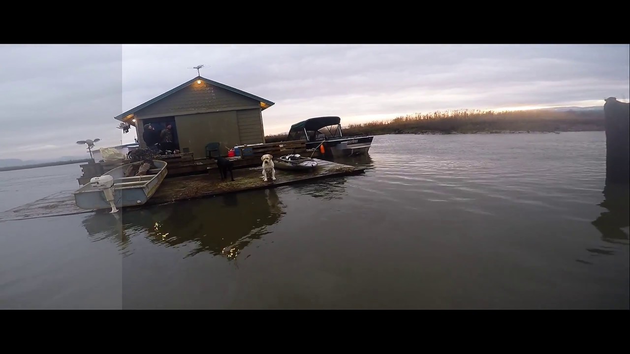 Duck Hunting 2017 PNW - YouTube