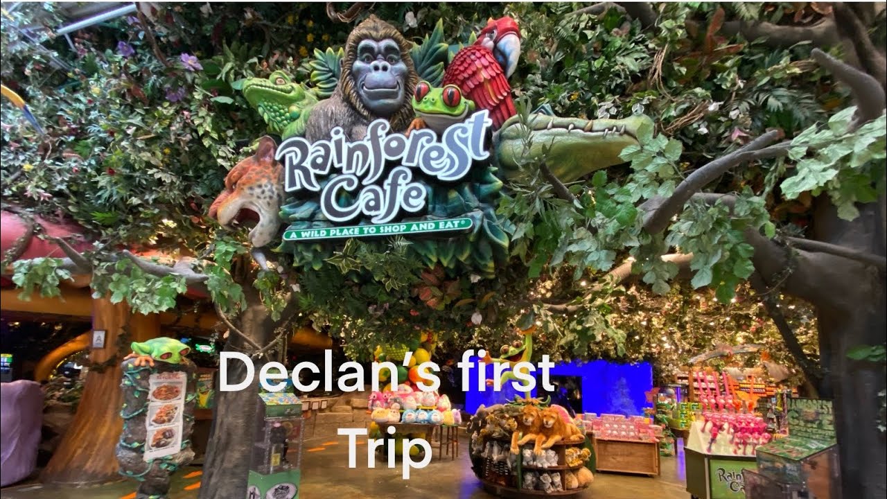 rainforest café - YouTube