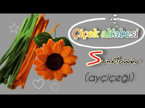 Çiçek alfabesi✨ ŞÖNİL ÇİÇEK🌿 S - Sunflower