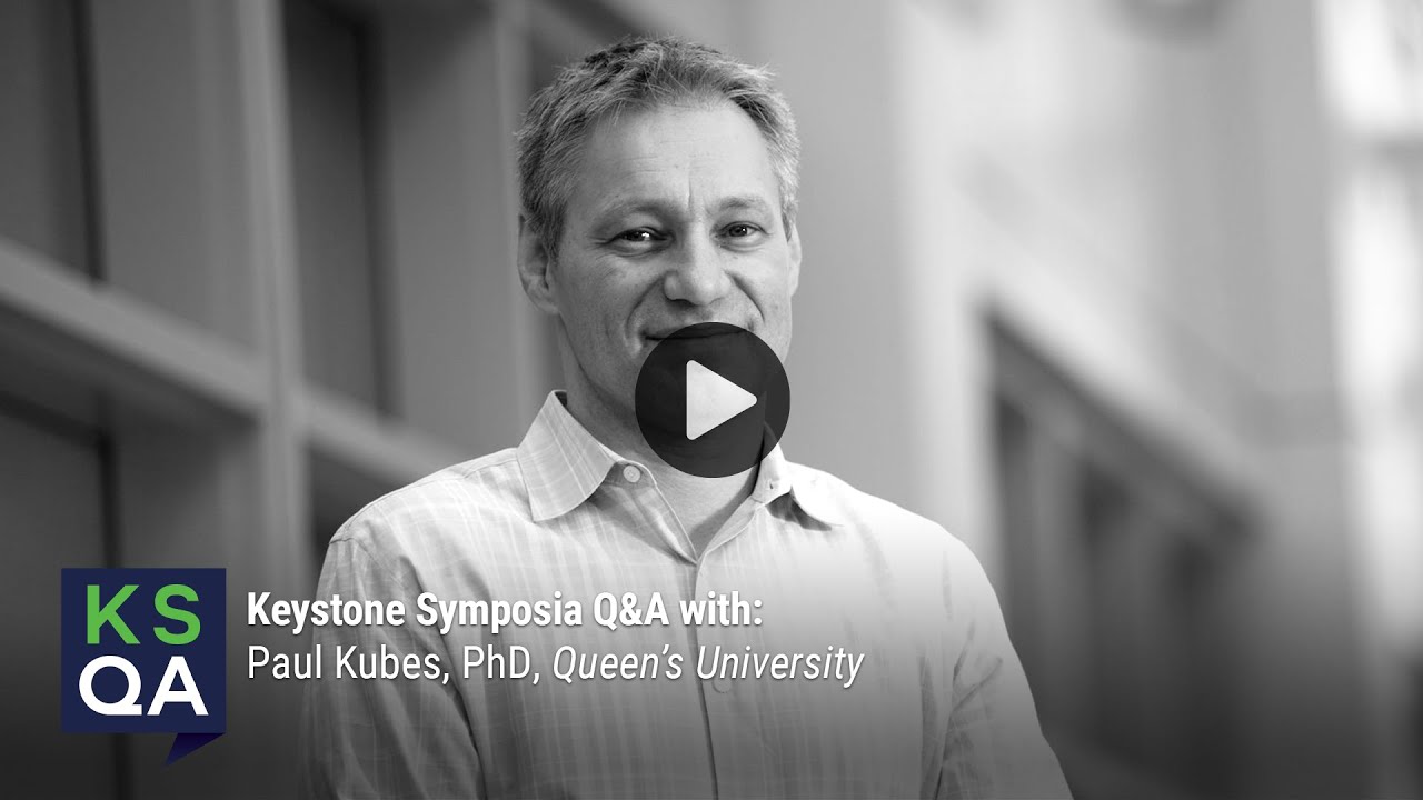 KSQA: Dr. Paul Kubes (Myeloid Cells) - YouTube