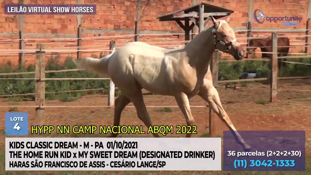 LOTE 4 KIDS CLASSIC DREAM - YouTube