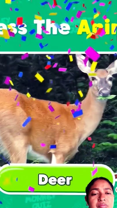 Choose the Right One#trending #subscribe #quiz - YouTube