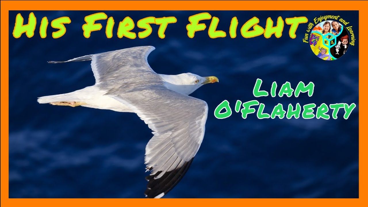 His First Flight Class 11 | His First Flight by Liam O'Flaherty | His ...