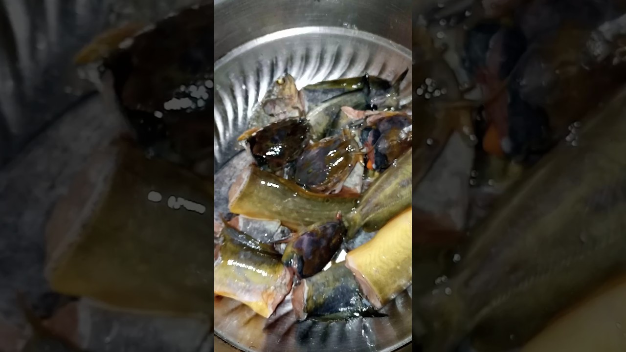 ମାଗୁର ମାଛ ଝୋଳ ( cat fish curry ) magura machha jhola#odiarecipe fish ...