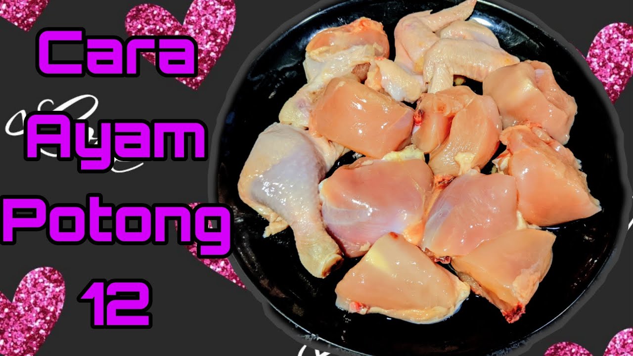 [DIY] Ayam Potong 12 - YouTube