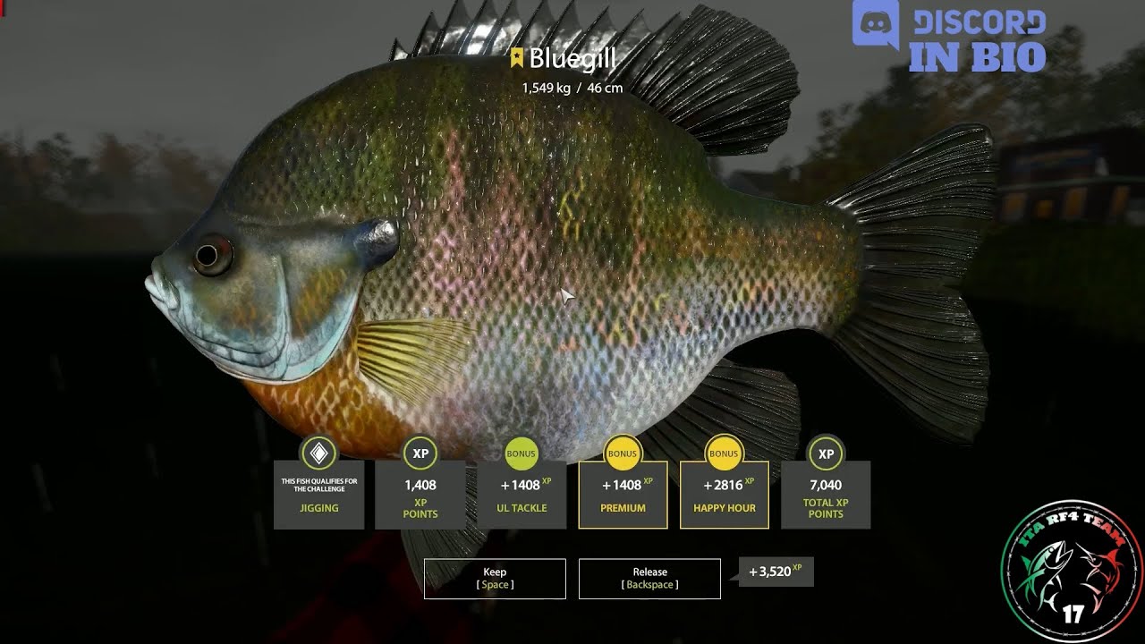 New Map Elk Lake spot, Trophy Bluegill - #92 - Russian Fishing 4 / RF4 - YouTube