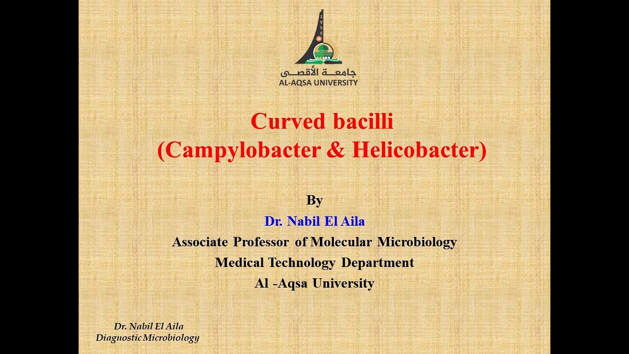 Chapter 7 Part I Curved bacilli Campylobacter and Helicobacter - YouTube