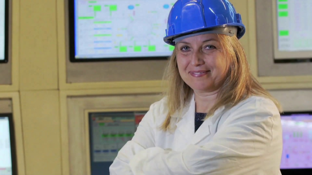 DTT, Divertor Tokamak test Facility, the international fusion research ...