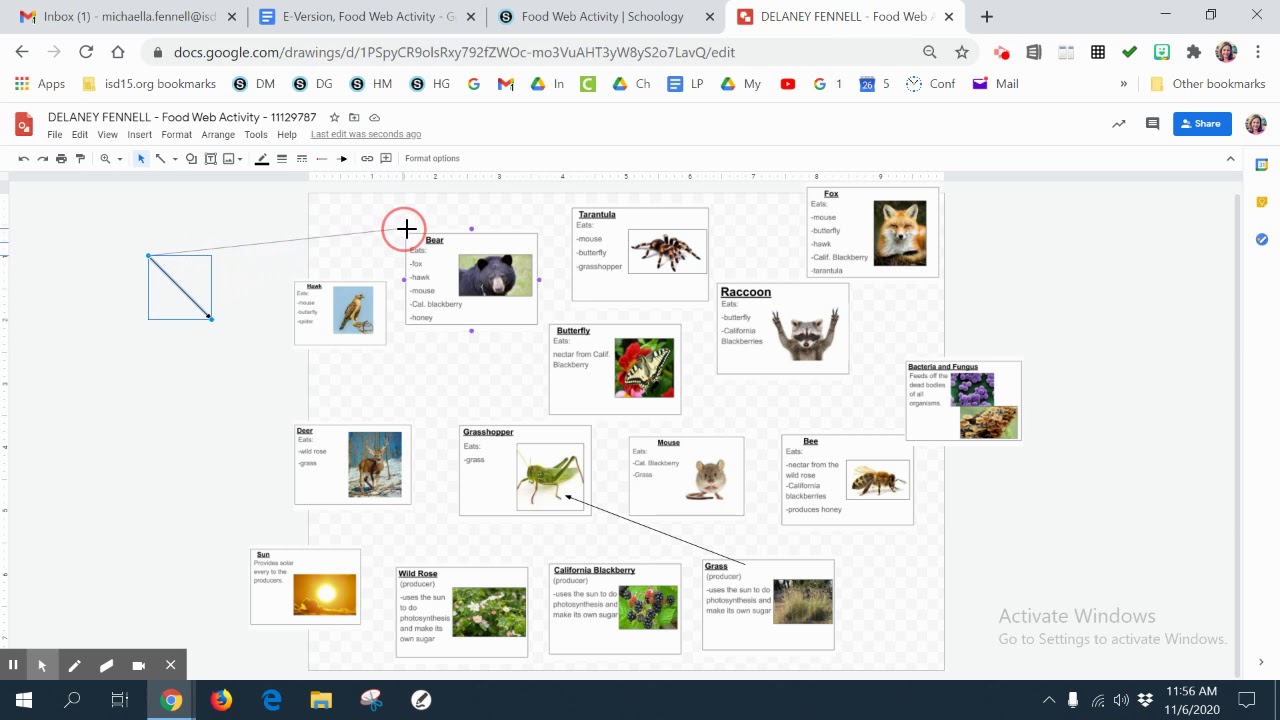 How To Do an Electronic Food Web - YouTube