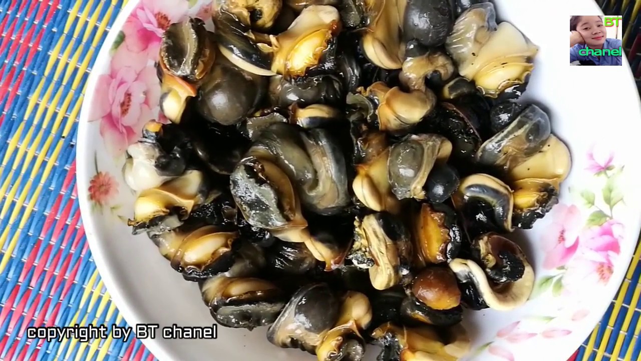 Cute Girl Cook Snails -How To Cook Snail In Cambodia-Khmer Cooking ...