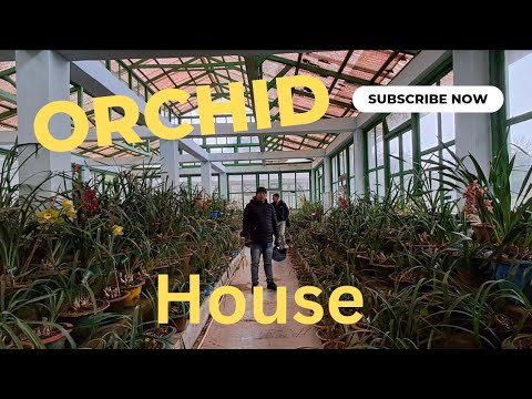 orchid centre// orchid house// orchid centre takdha - YouTube