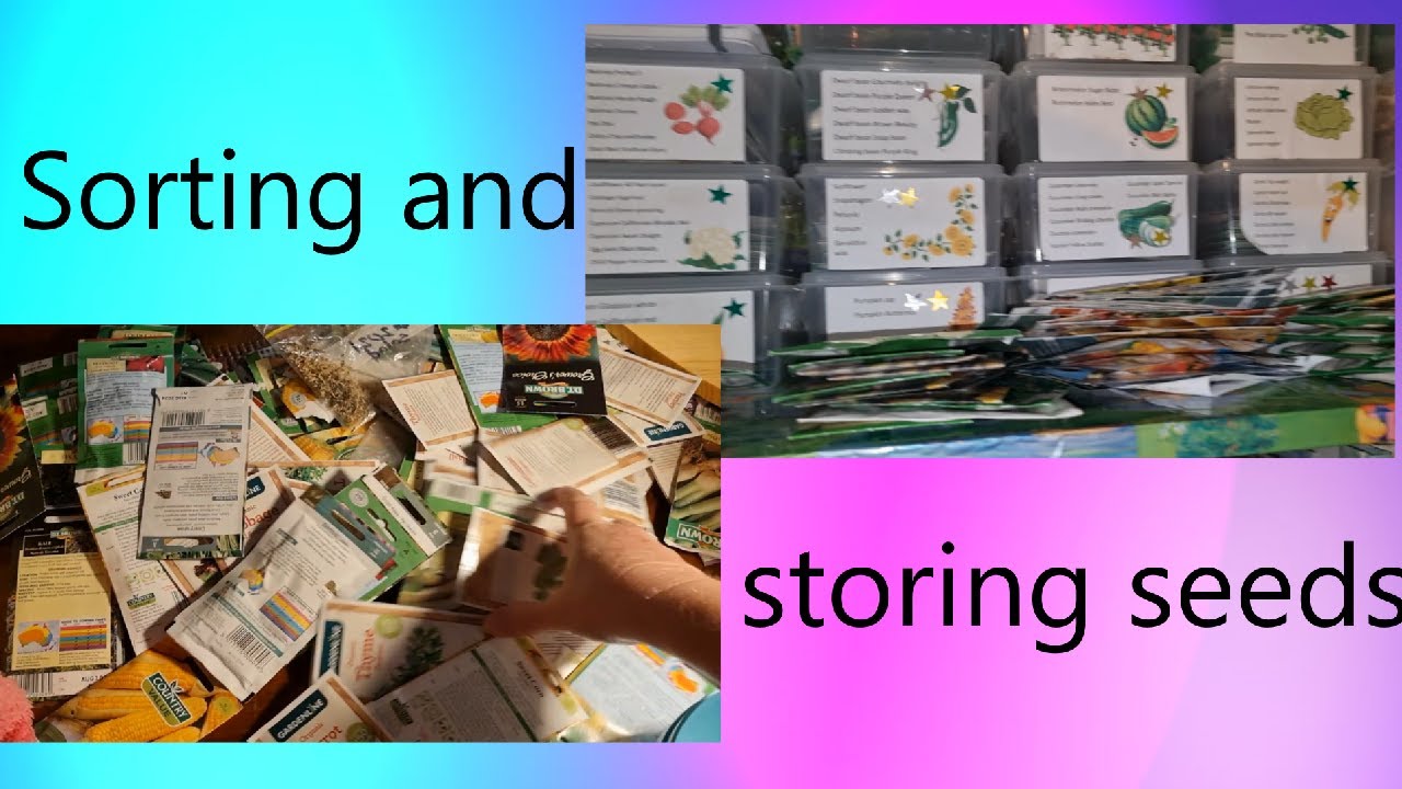 Storing and sorting seed packets - YouTube