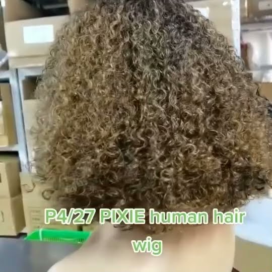 PIXIE p4/27 color human hair wig#wig #hair ##humanhairwigs #humanhair # ...