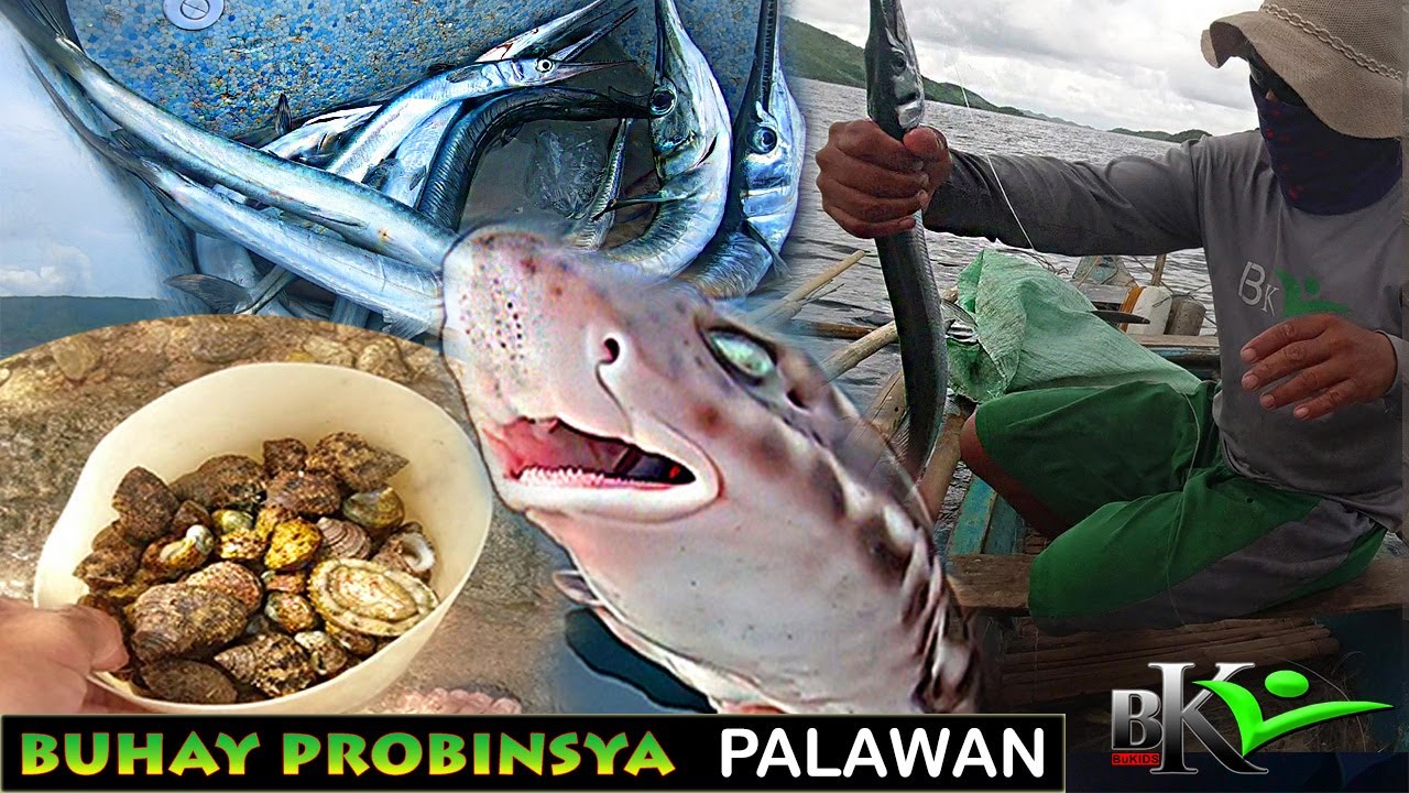 BUKIDS209-Part1- Nakahuli ng Pating sa kawil | Katsawan at Shells Catch ...