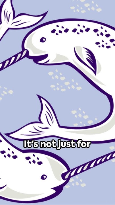 Unveiling the Mystery What is a Narwhal Horn #shorts #explained #science - YouTube