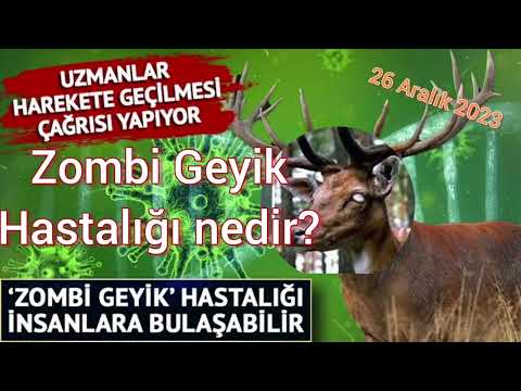 Zombi geyik hastalığı nedir, belirtileri neler? Zombi Geyik hastalığı tedavisi var mı, bulaşıcı mı?