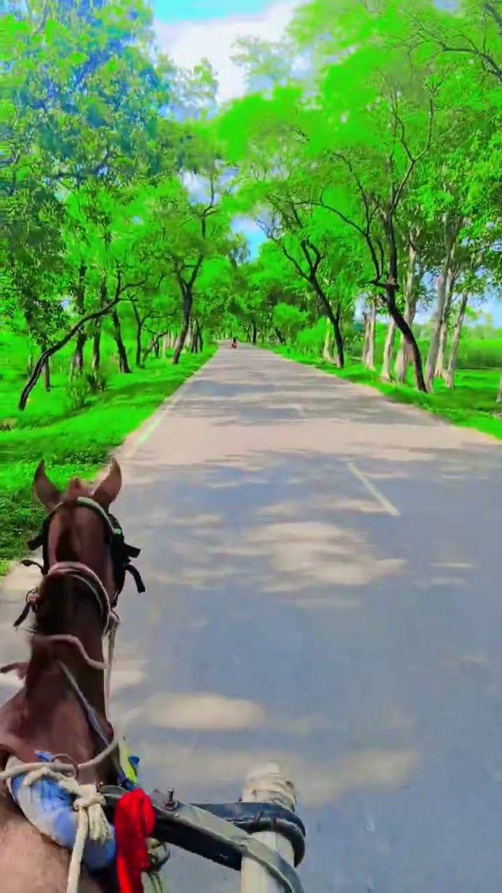 26 July 2024 - YouTube