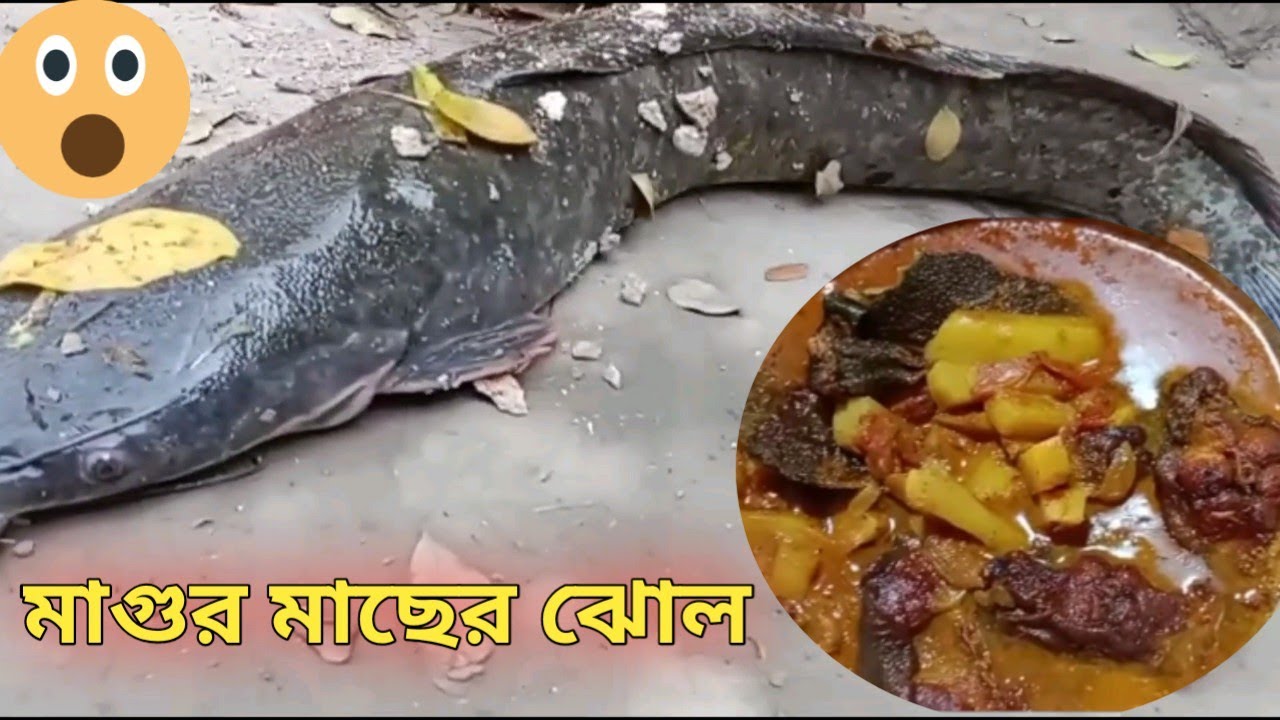 MAGUR FISH RECIPE | মাগুর মাছের ঝোল #COOKINGWITHDIDA - YouTube