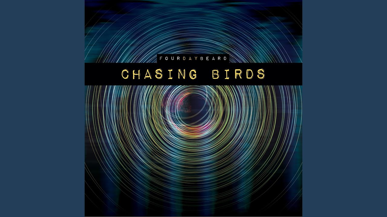 Chasing Birds - YouTube