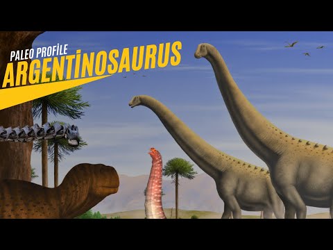 Argentinosaurus | TEFLON's Paleo Profile 15. Bölüm