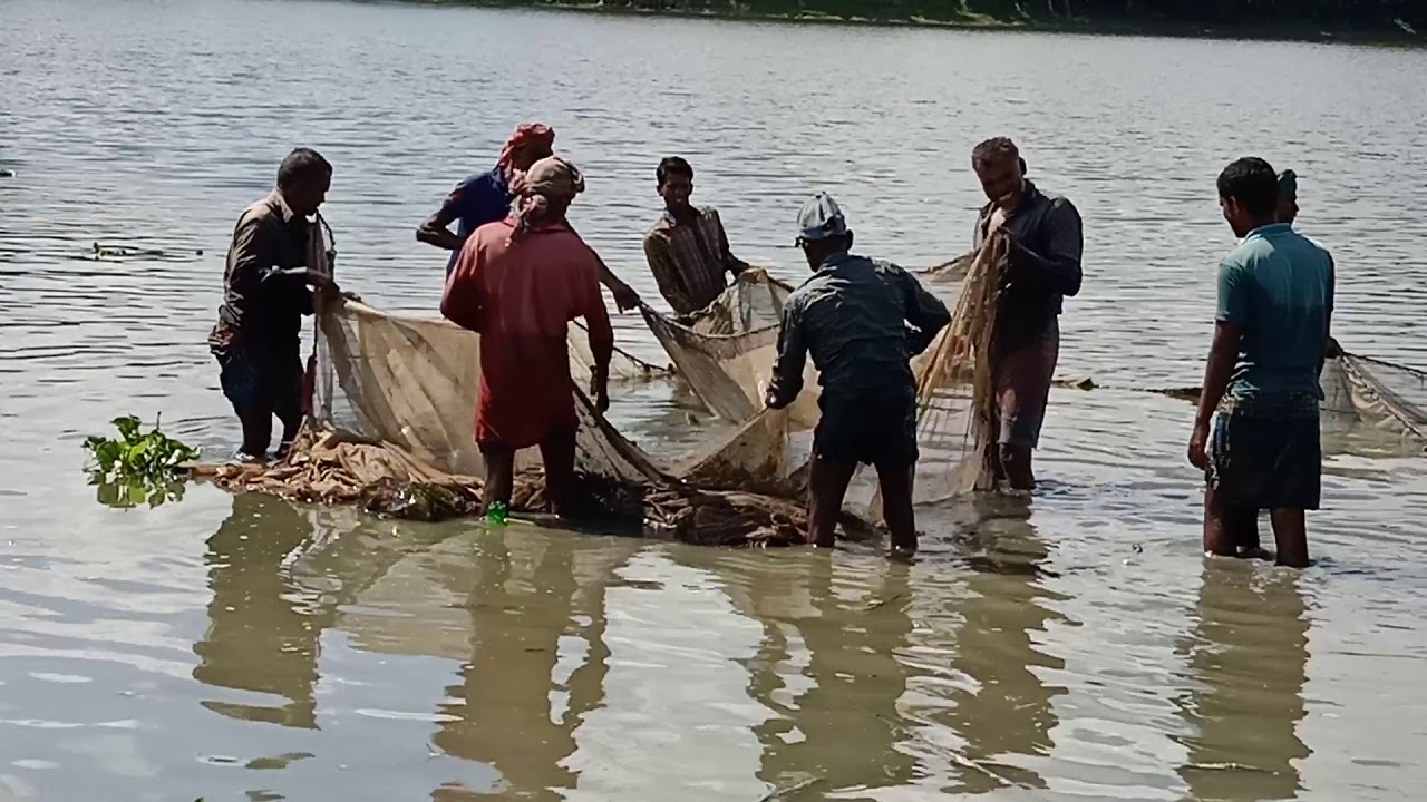 FISH HUNTING । PULL NET FISHING. - YouTube