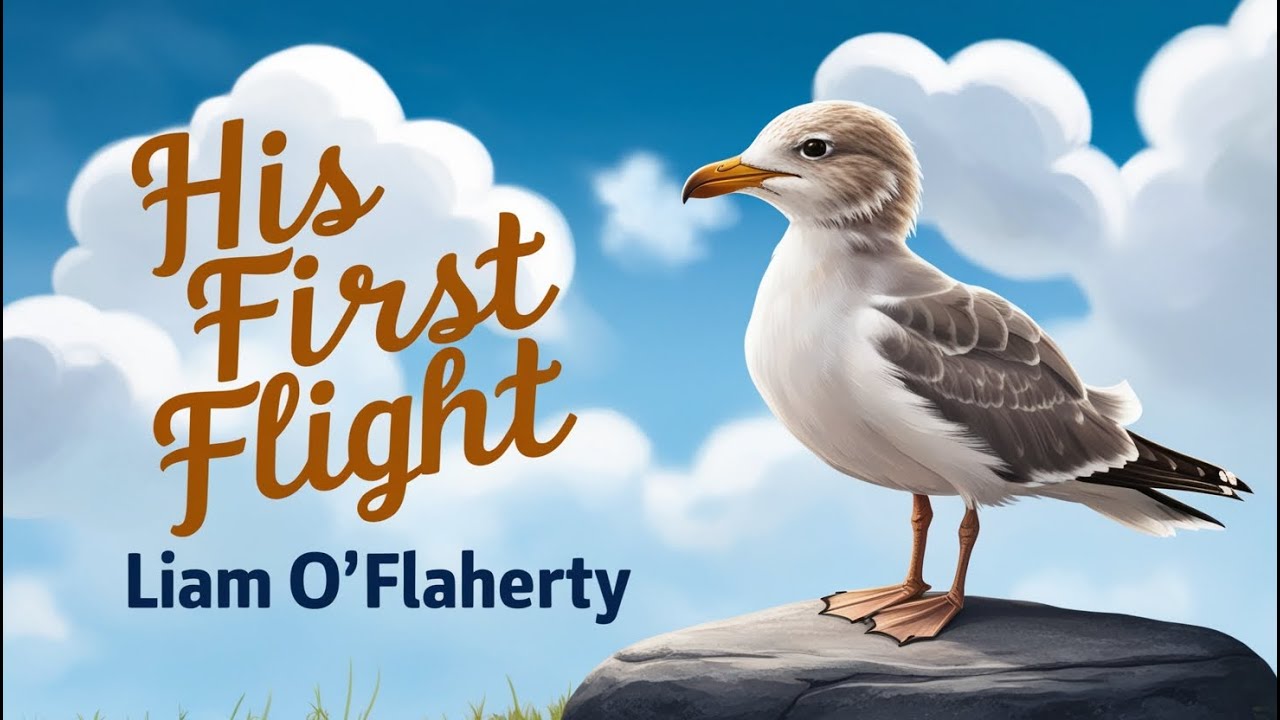 His First Flight | Full Explanation (CBSE 10th English, Chapter 3) - SR ...