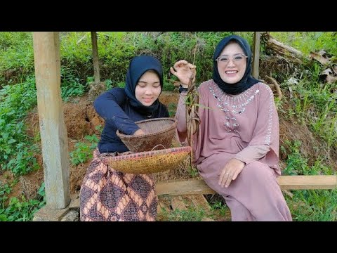 BEBAS KELON KAPAN SAJA.....‼️ CEPAT SEBELUM DIHAPUS, MENGINTIP SUASANA KAMPUNG SUKU JAWA KUNO