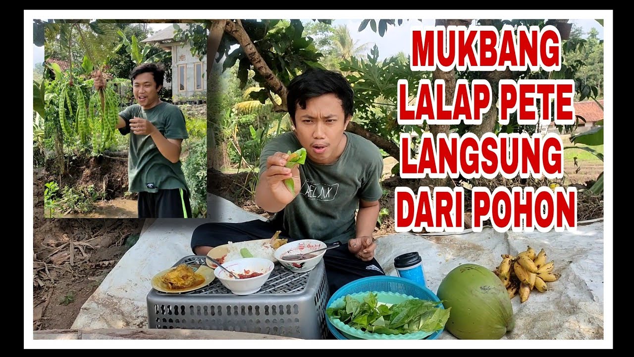 MUKBANG LALAP " PETE DAUN& POHPOHAN " DI PINGGIR SAWAH - YouTube