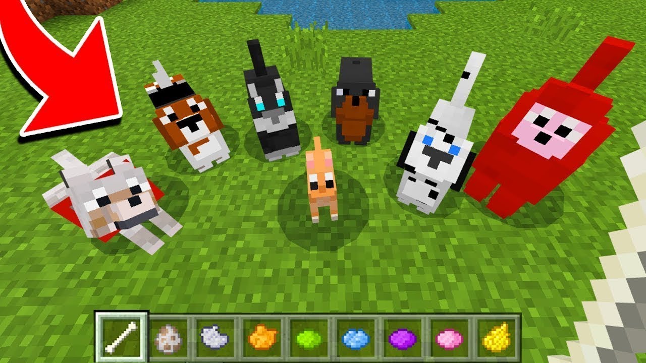 ÚJ ÁLLATOK A MINECRAFTBAN ILYET MÉG NEM LÁTTÁL! - YouTube