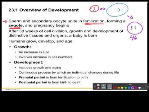 CH23 1 Overview of Development - YouTube