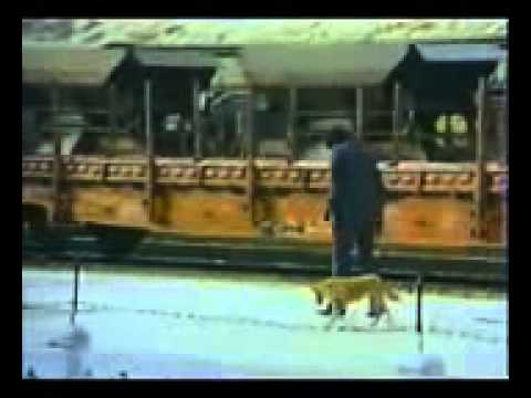 Ibrahim Tatlises   Gurbet Treni