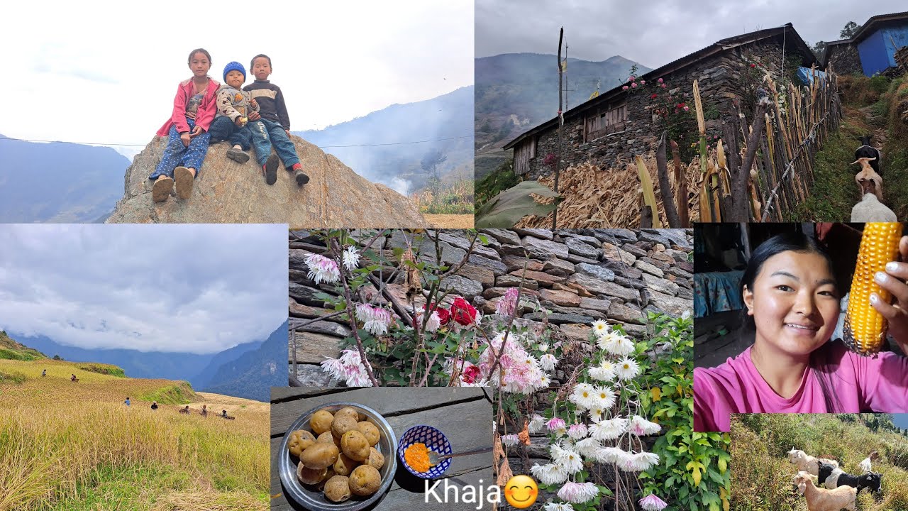 A day in my life at village😊🏡|yang guthigumba's (Bhotkhola 2gumba ...