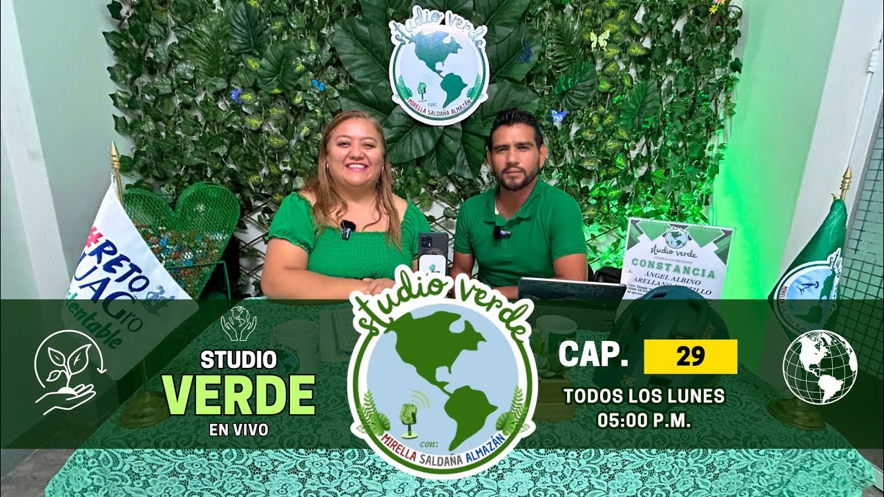 Studio Verde: En Vivo || Conversatorio #29 || El impacto del ejercicio - YouTube