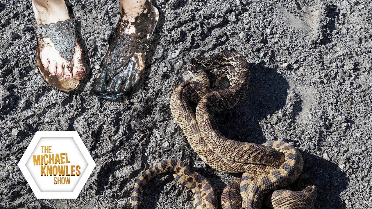 America’s Favorite Pagan Orgy | The Michael Knowles Show Ep. 209 - YouTube