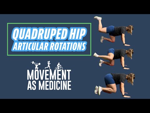 Quadruped Hip Articular Rotations - YouTube
