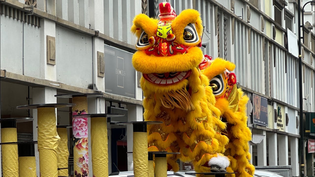 Acrobatic Lion Dance for Chinese New Year - YouTube
