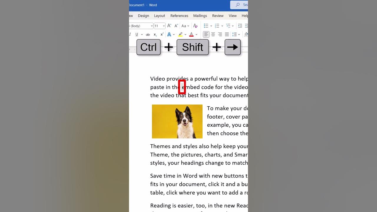 5 Keyboard Shortcuts to Select Text in Microsoft Word #shorts - YouTube