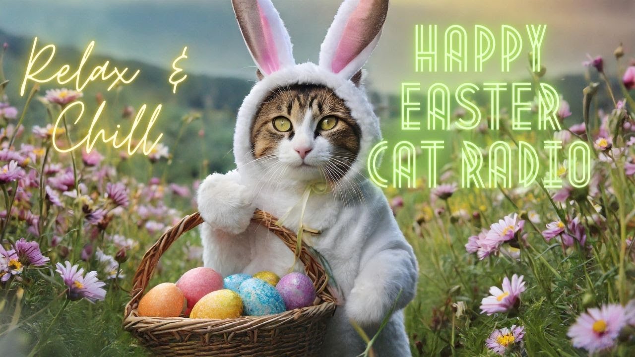 Relax and Chill - Easter Bunny Cat Radio - YouTube