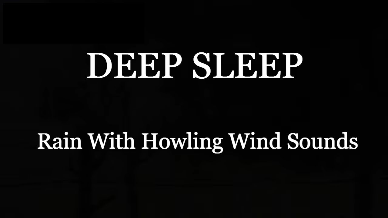 Heavy RAIN and Howling WIND sounds for Sleeping, Night Rain Sound ...