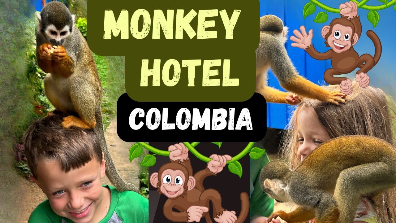 Amazon Monkey Hotel #24 - Living with monkeys in the Jungle. Kids with ...