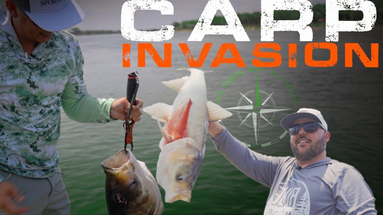 The Asian Carp Invasion - The Missouri River - Green Way Clips - YouTube
