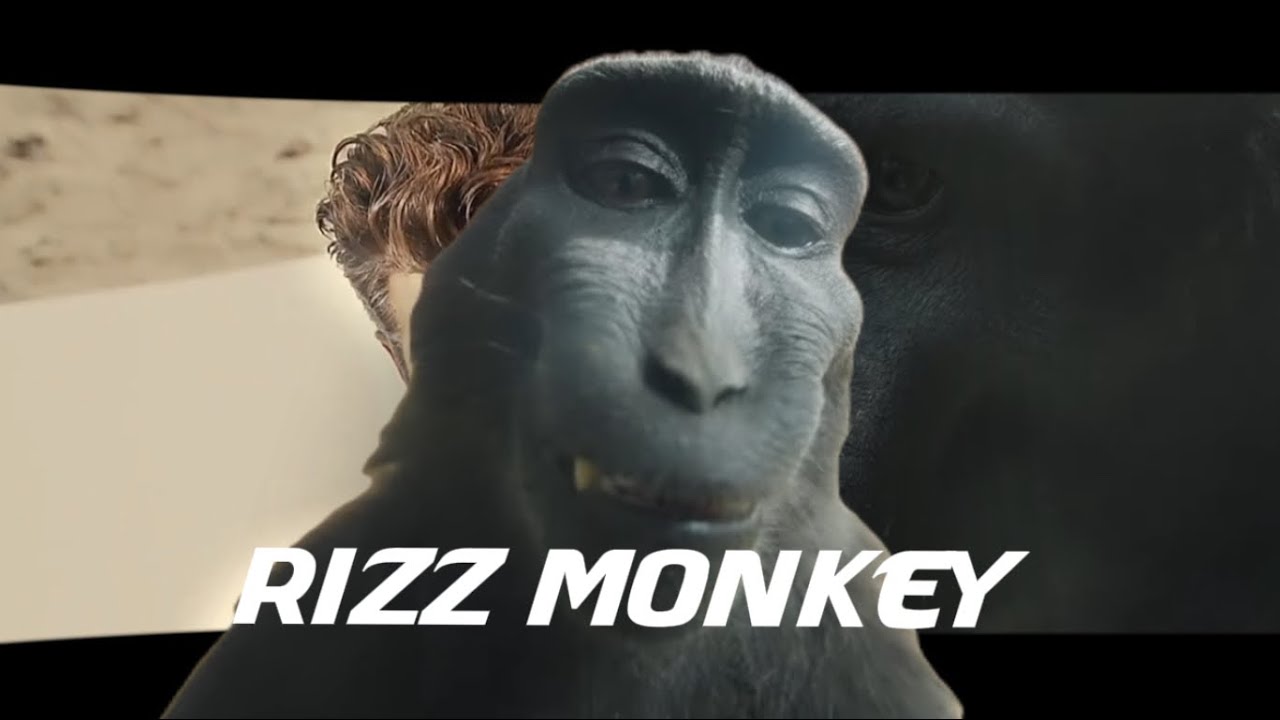 rizz monkey.mp4 🥵 - YouTube
