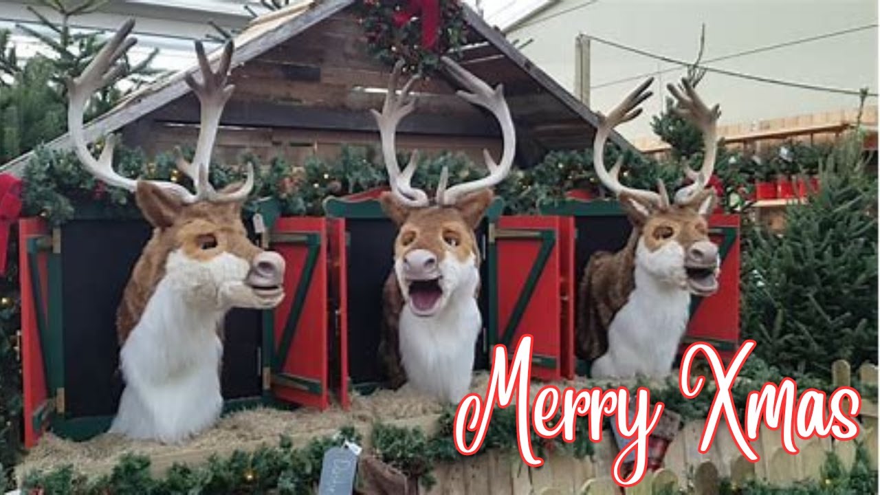 Santa's Grotto & Xmas decorations @ Cardwell garden centre, just ...